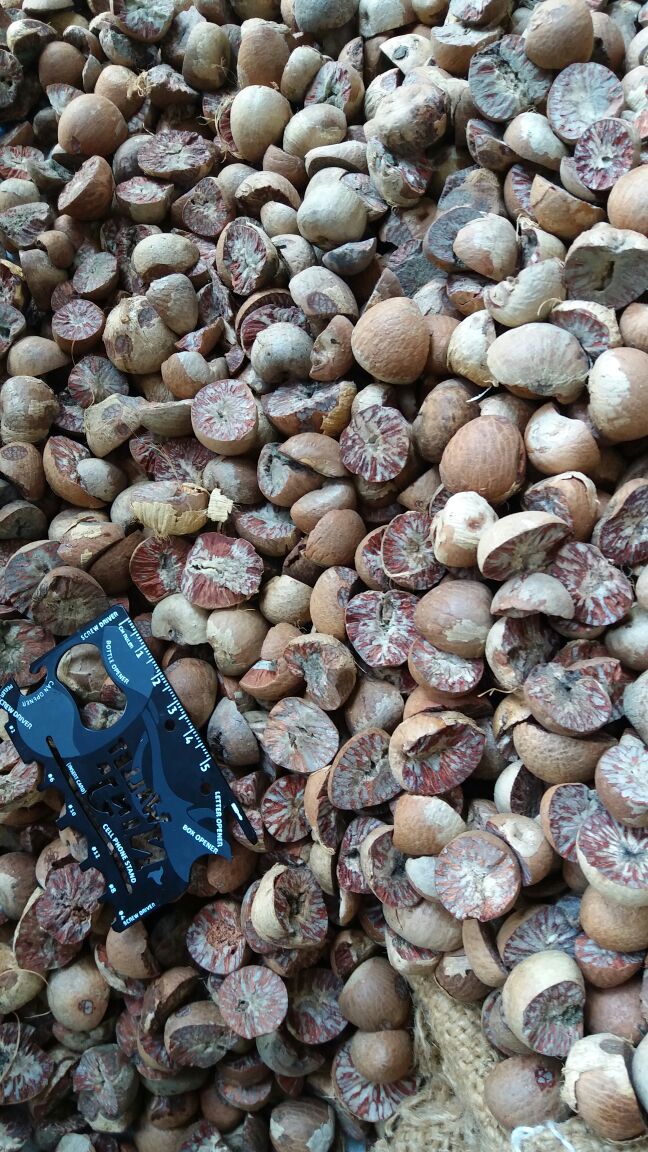 Betel Nut